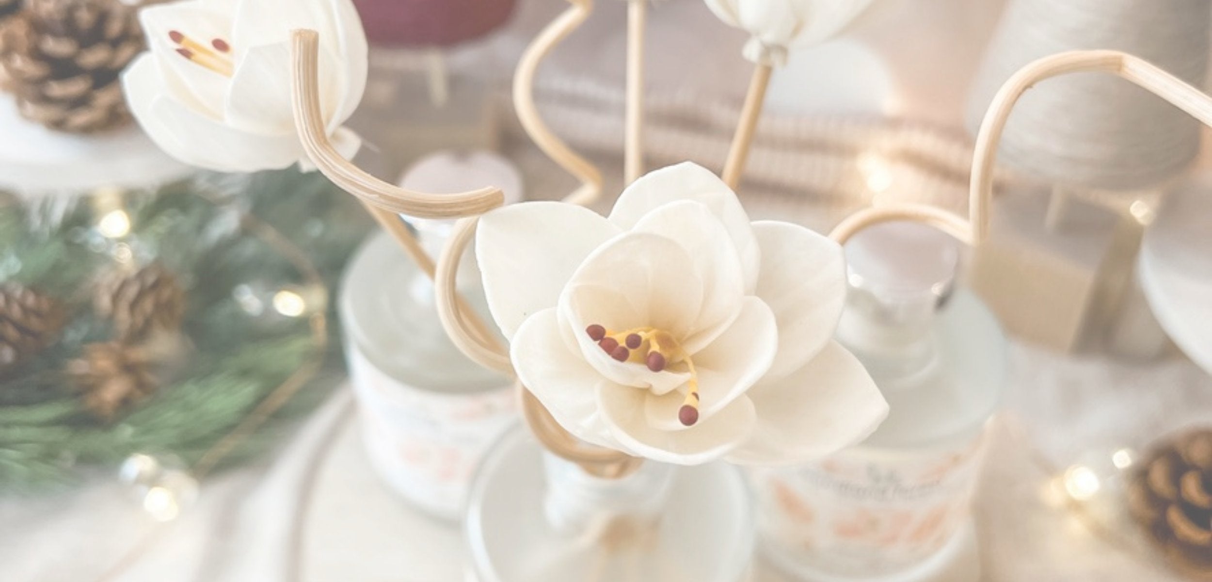 reed diffusers – Collective Harmony Co