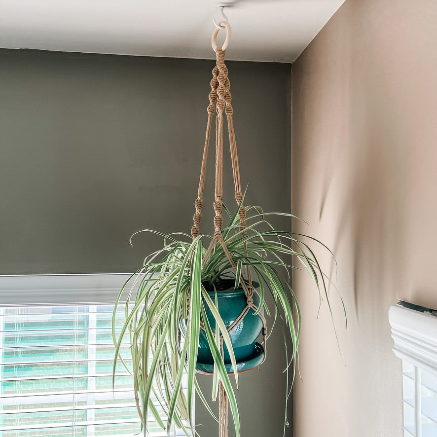 macrame plant hanger – Collective Harmony Co